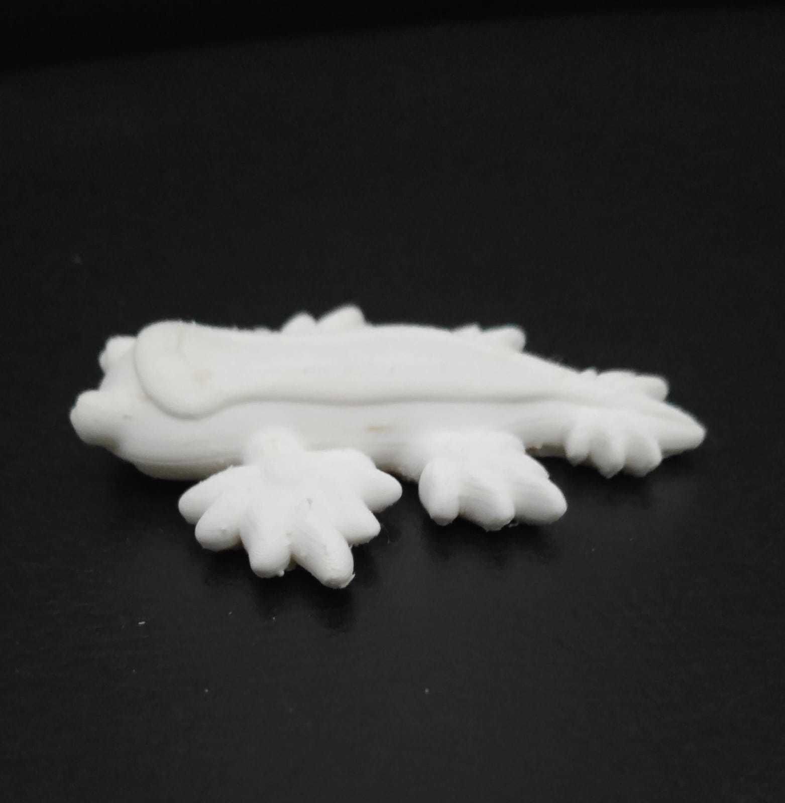 Blue Sea Dragon 3D model 3D printable | CGTrader