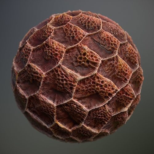 Material Skin Alien 29 Seamless PBR Texture Texture | CGTrader