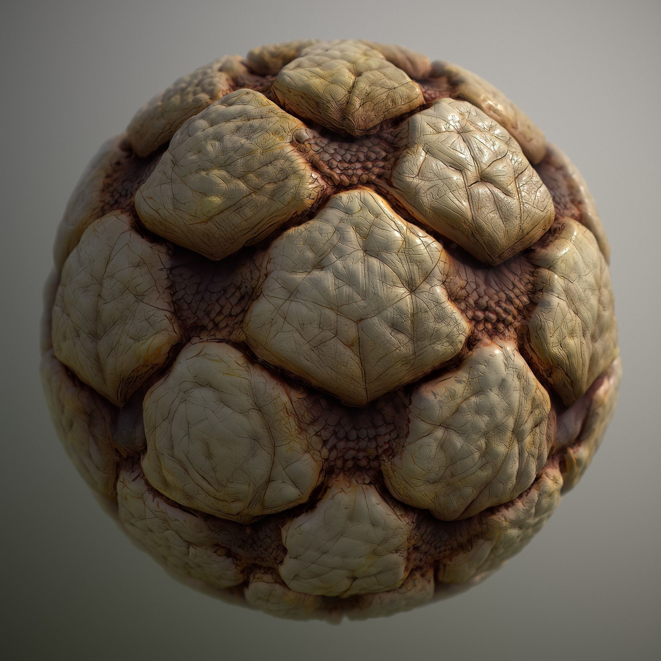 Material Skin Alien 23 Seamless PBR Texture Texture | CGTrader