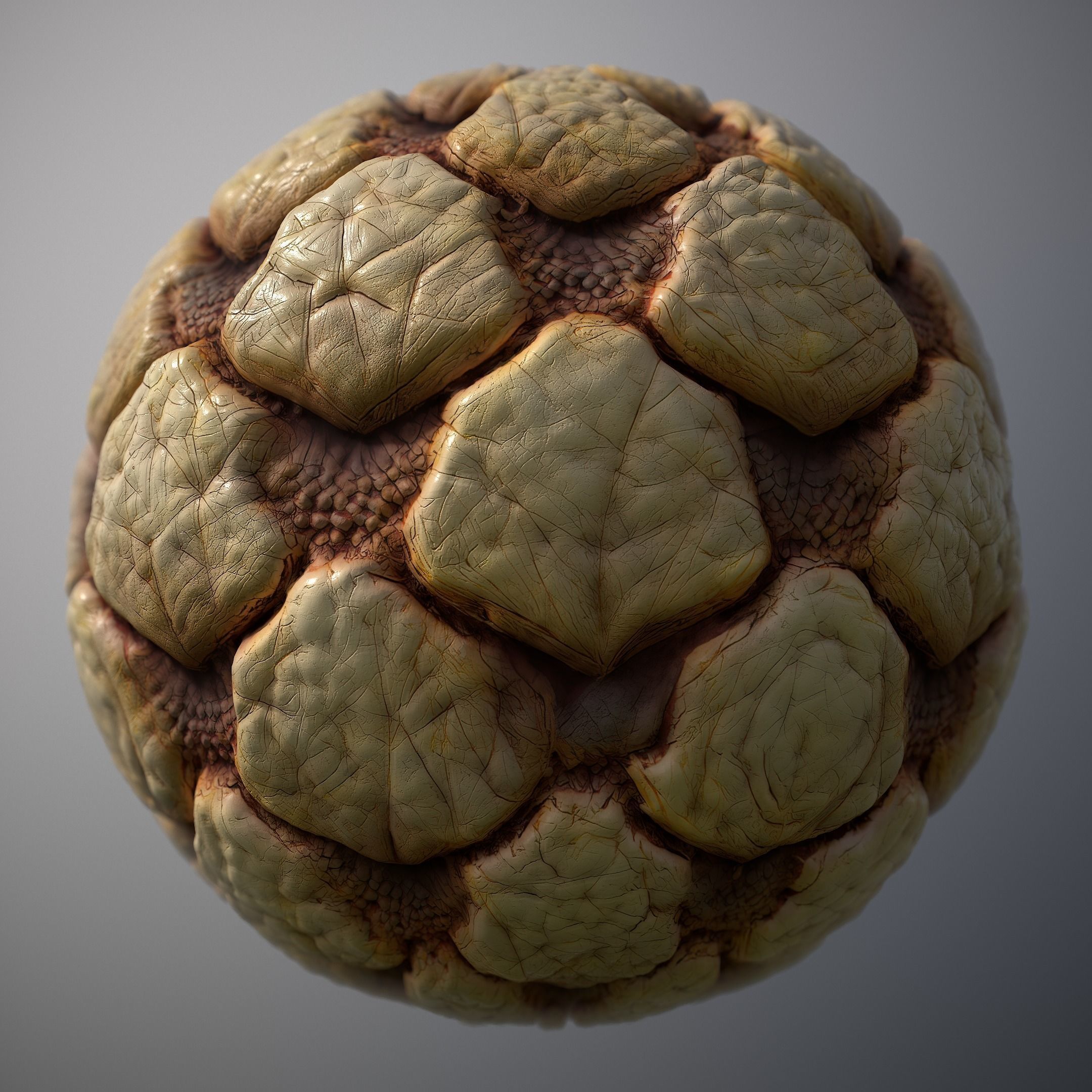 Material Skin Alien 23 Seamless PBR Texture Texture | CGTrader