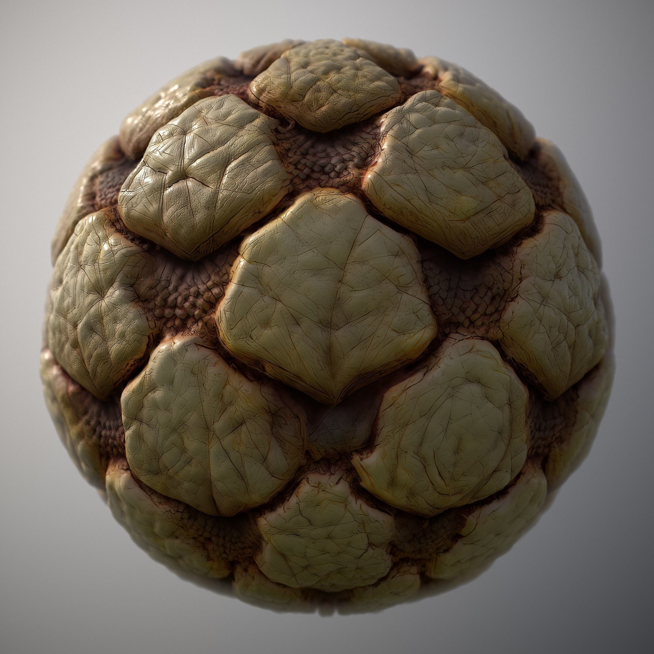 Material Skin Alien 23 Seamless PBR Texture Texture | CGTrader