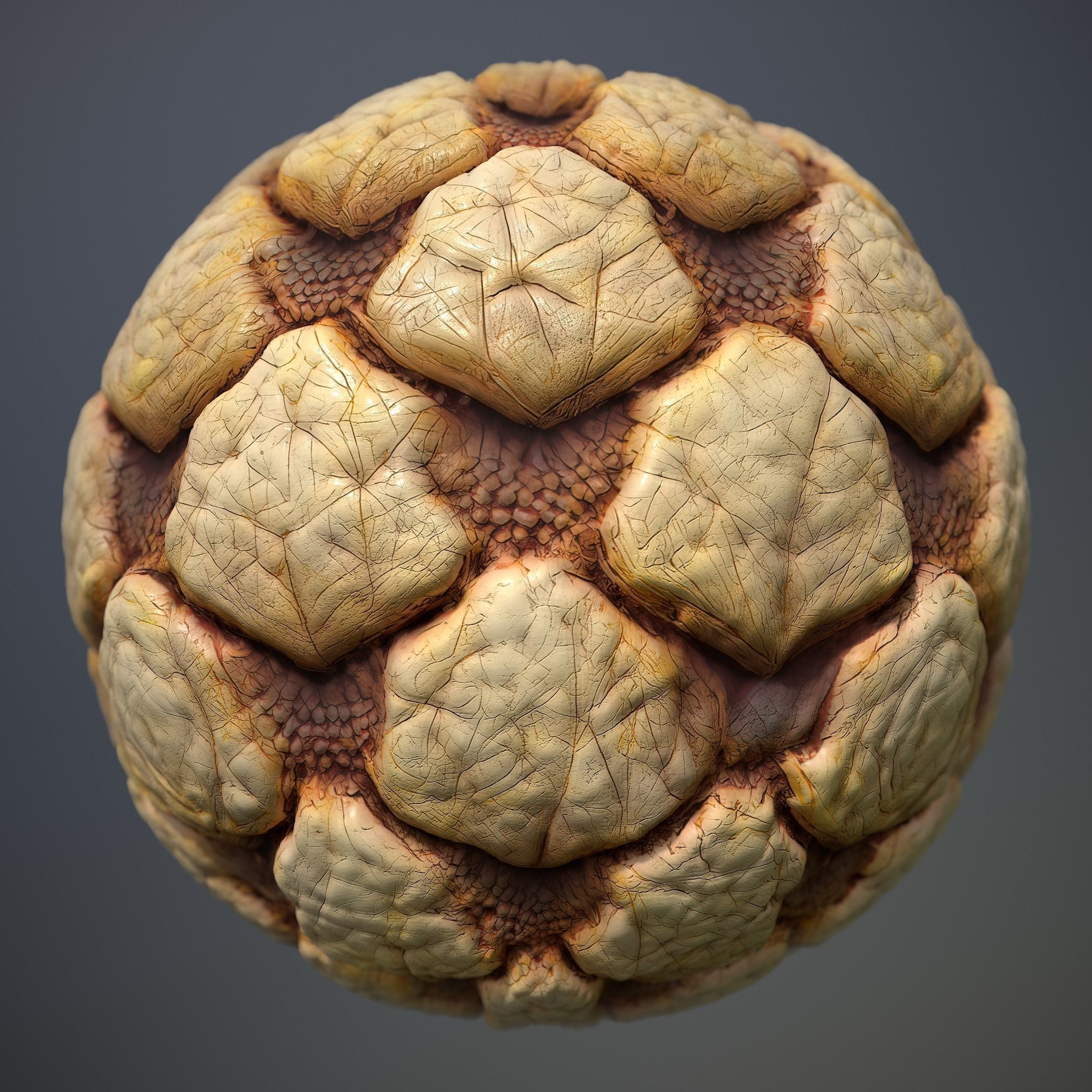 Material Skin Alien 23 Seamless PBR Texture Texture | CGTrader