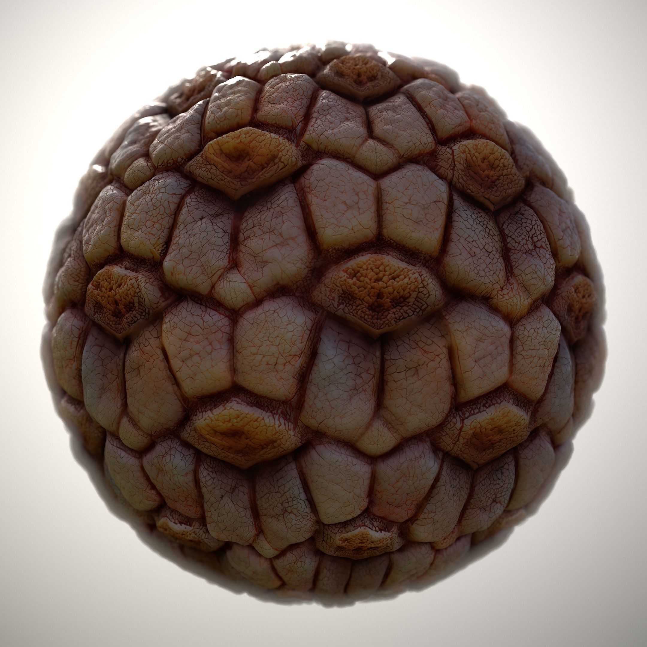 Material Skin Alien 16 Seamless PBR Texture Texture | CGTrader