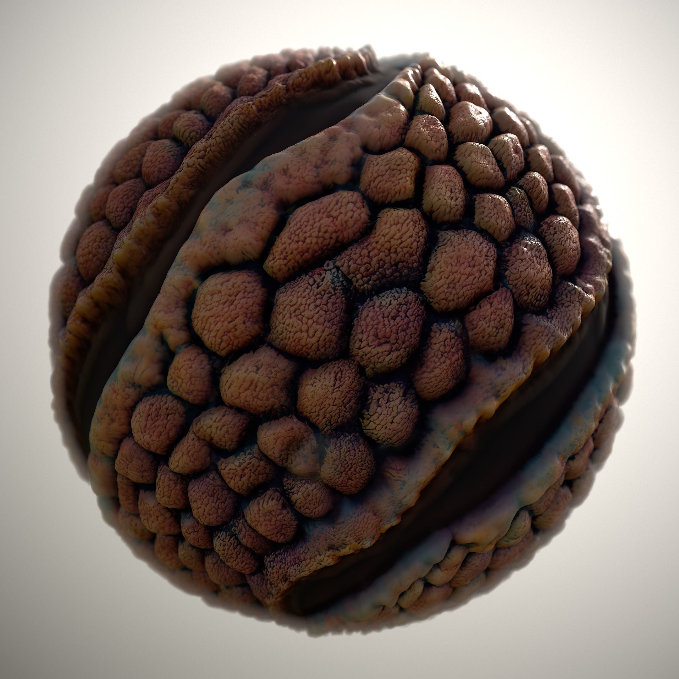 Material Skin Alien 12 Seamless PBR Texture Texture | CGTrader
