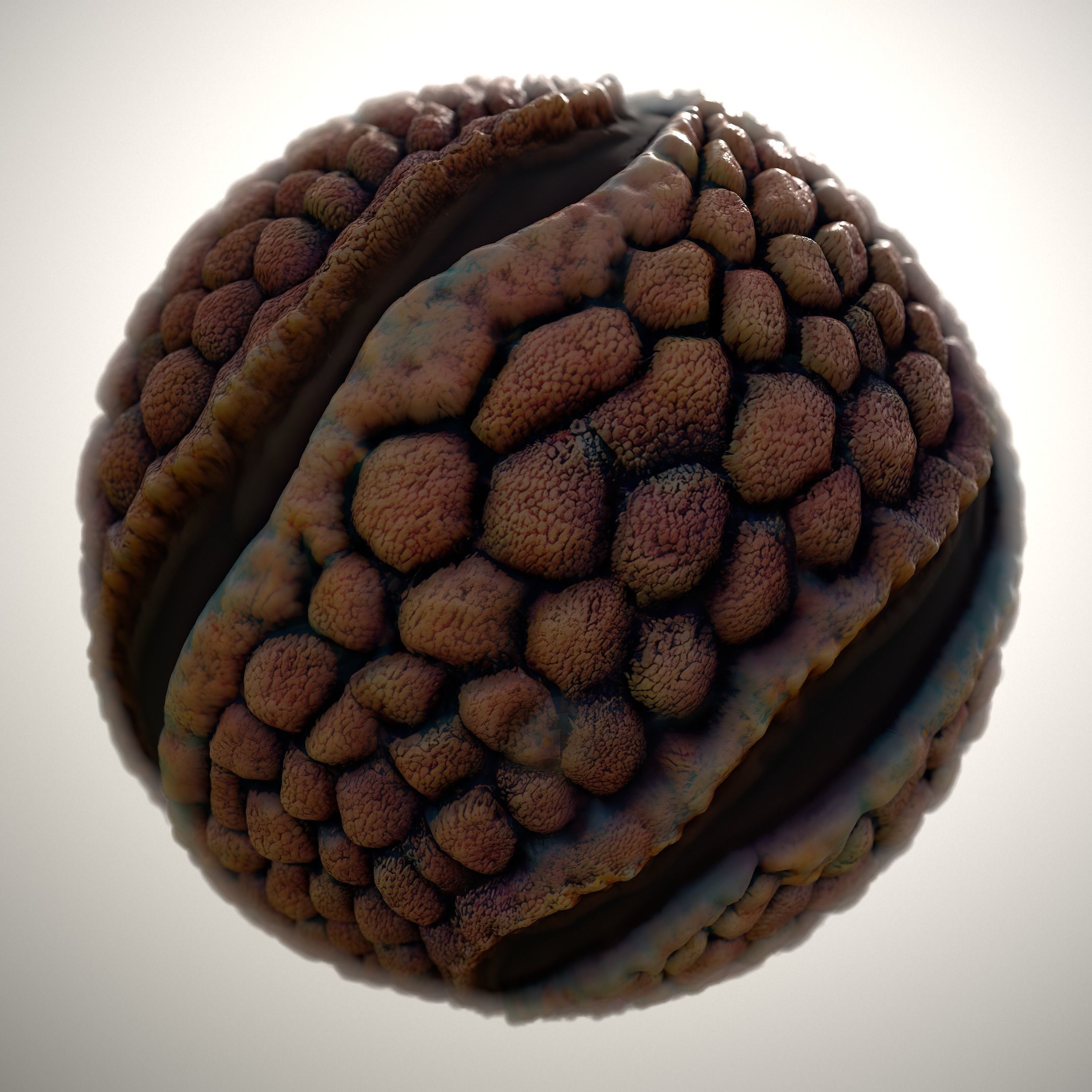 Material Skin Alien 12 Seamless PBR Texture Texture | CGTrader