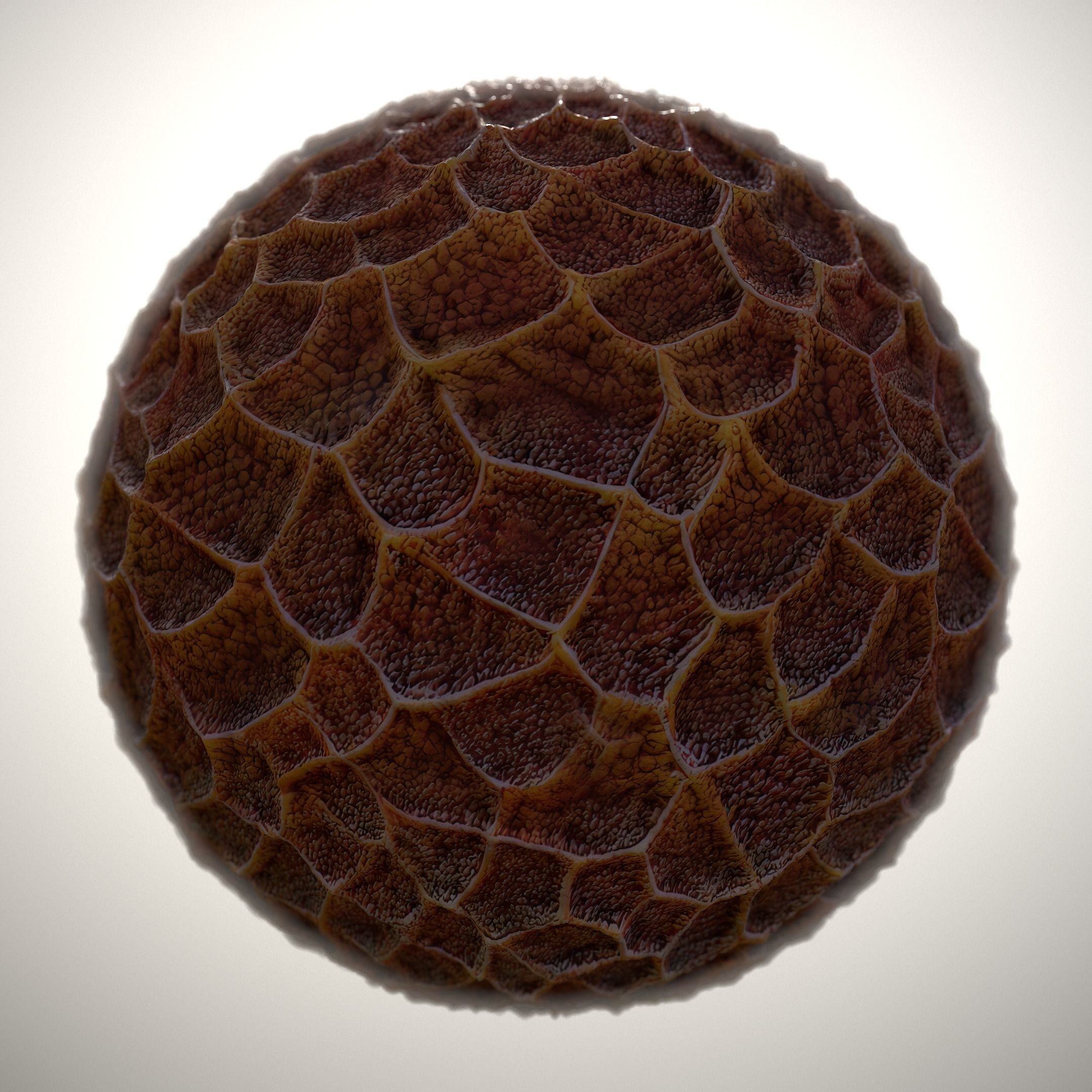 Material Skin Alien 11 Seamless PBR Texture Texture | CGTrader