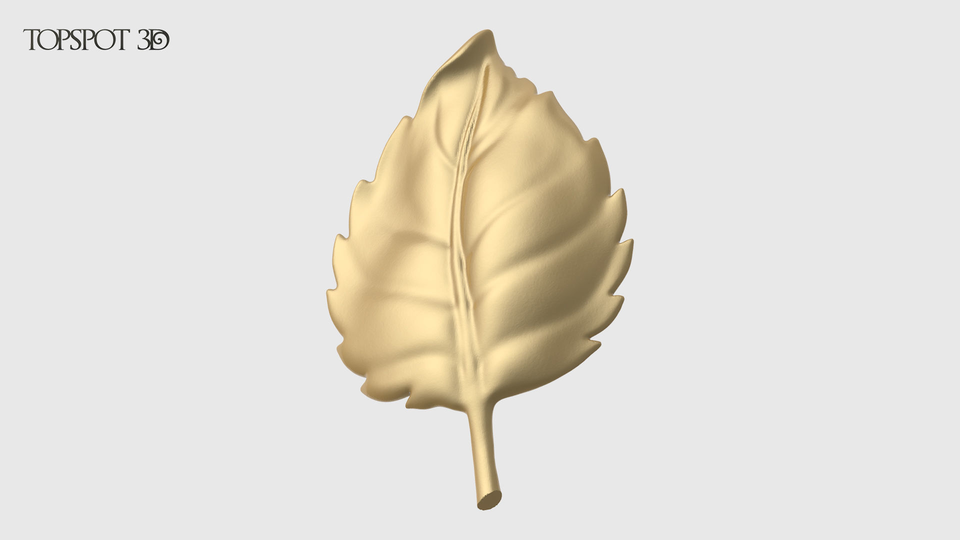 Rose Buds And Leaves Set 3D model 3D printable | CGTrader