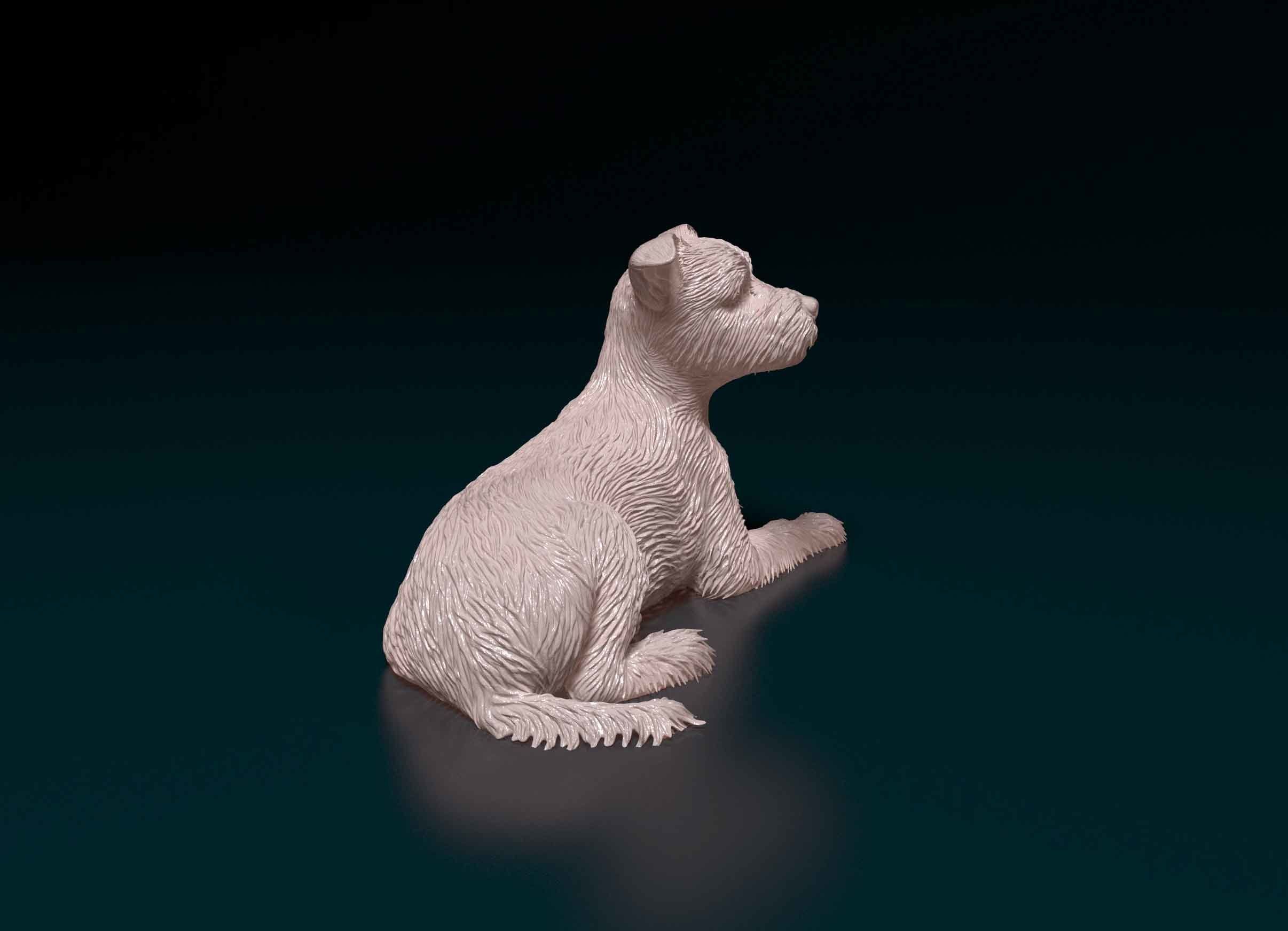 Yorkshire terrier 3D model 3D printable | CGTrader
