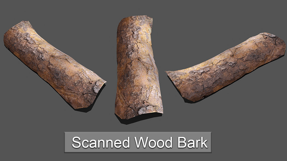 3D model Wood Bark Low Poly VR / AR / low-poly | CGTrader