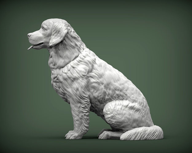 Golden retriever 3D model 3D printable | CGTrader