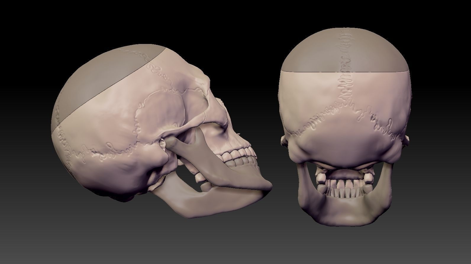 Skull 3d Print model human 3D model 3D printable | CGTrader