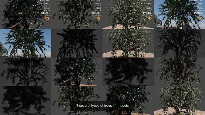3D Model Collection 4 several types of trees VR / AR / low-poly | CGTrader