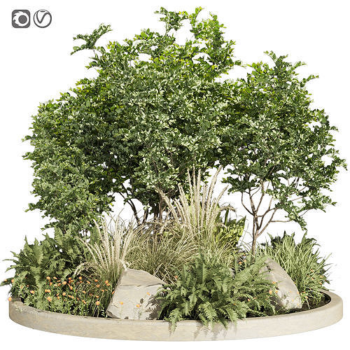 Collection plant vol 395 - outdoor - garden 3D model | CGTrader