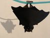 PRINT-IN-PLACE BAT ARTICULATED- FLEXI 3D model 3D printable | CGTrader