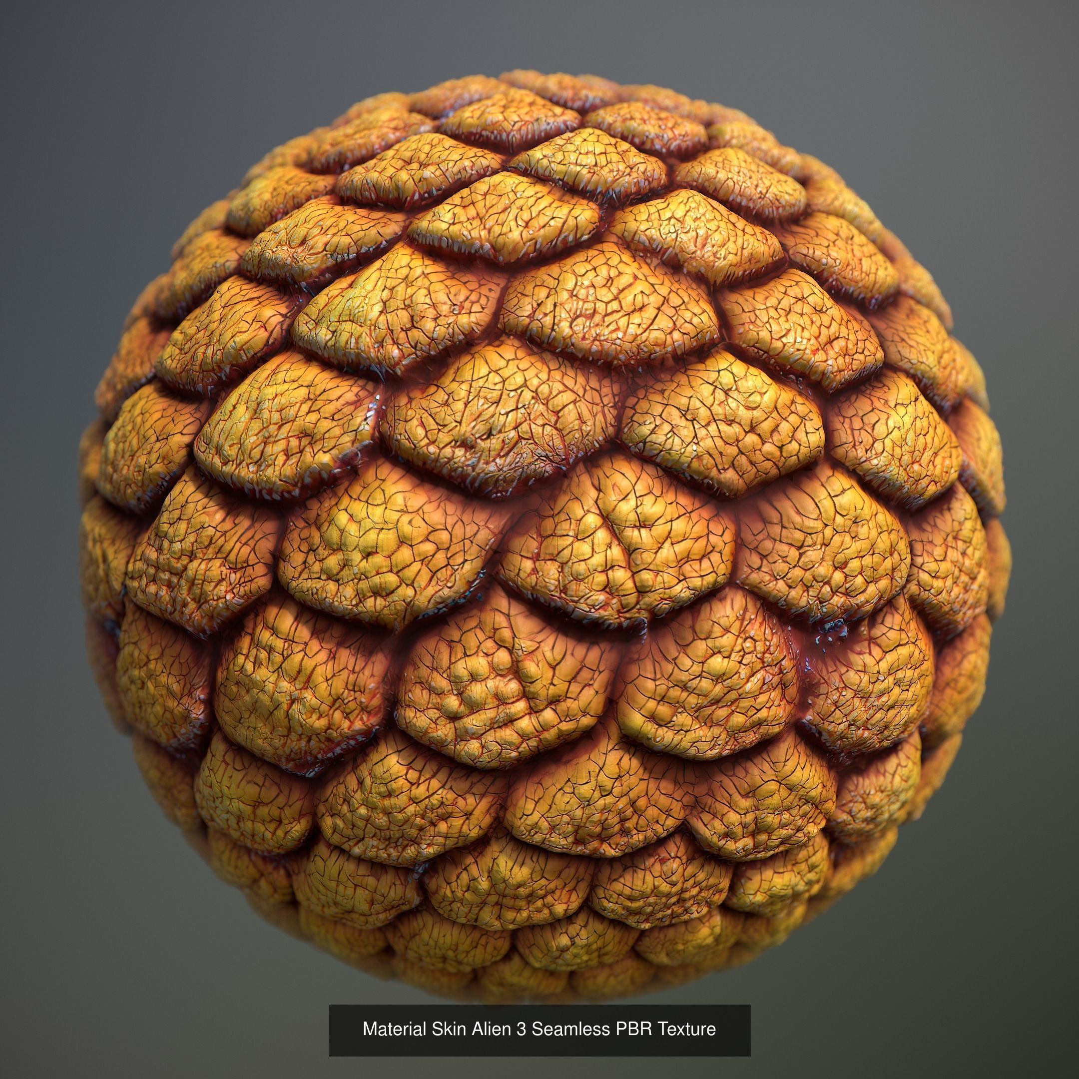 10 Materials Skin Alien Seamless PBR Pack 1 3D Model Collection | CGTrader