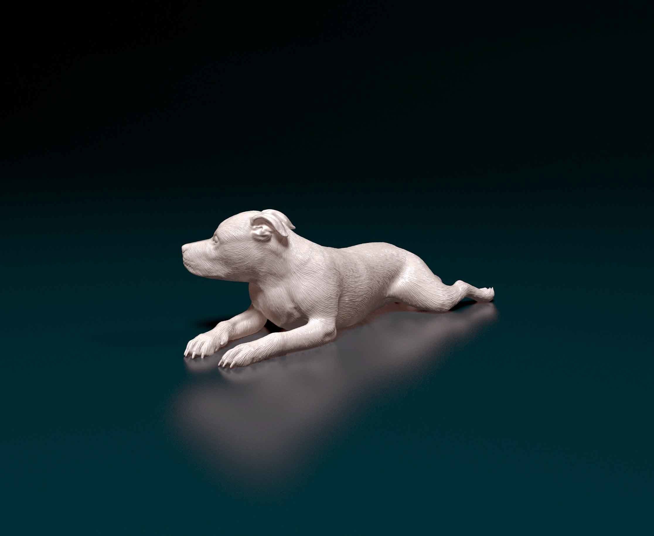 Pit bull 3D model 3D printable | CGTrader