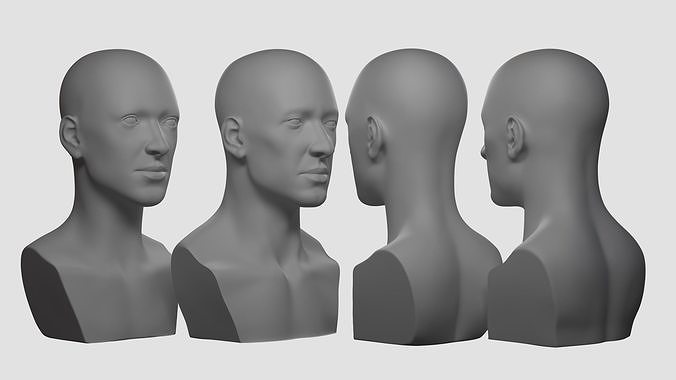 Head Male Female free 3D model | CGTrader