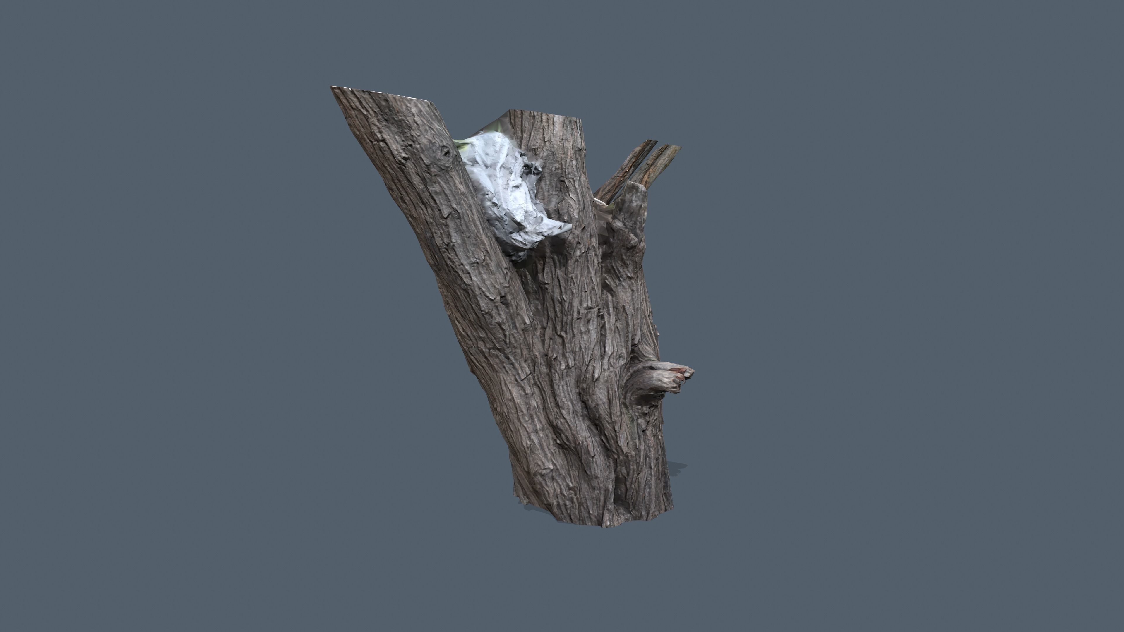 3D model Wood Bark Low Poly VR / AR / low-poly | CGTrader