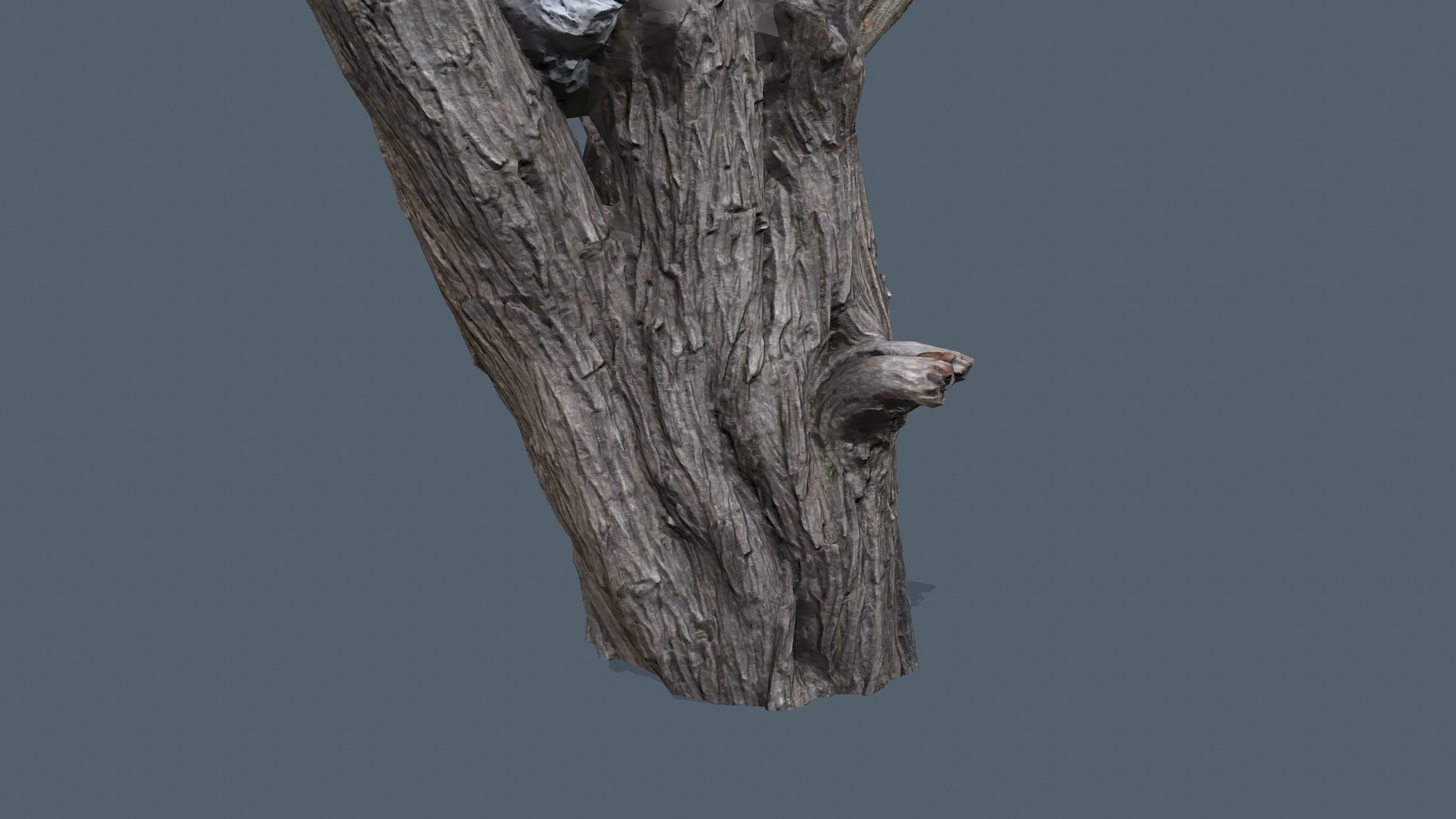 3D model Wood Bark Low Poly VR / AR / low-poly | CGTrader