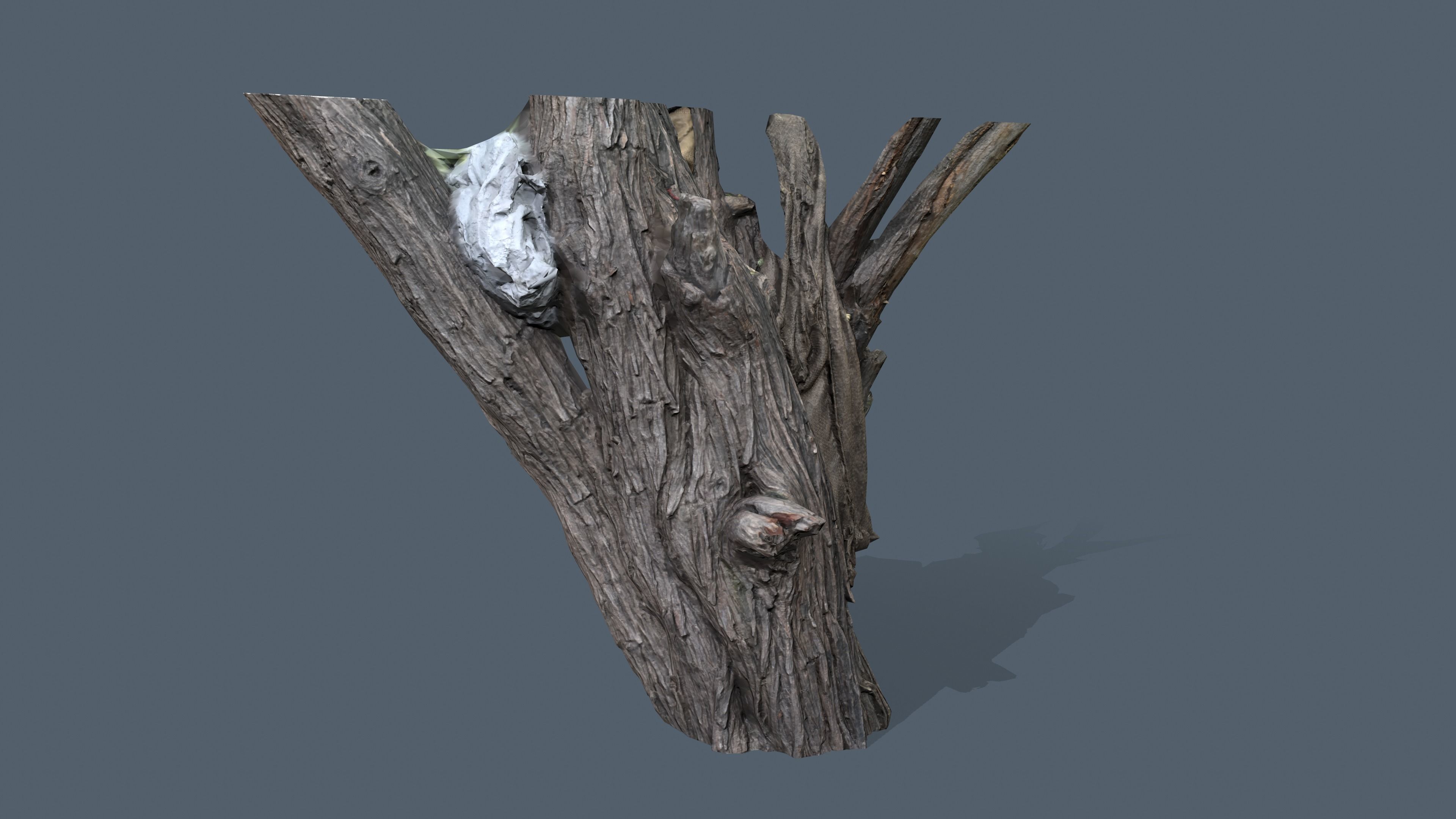 3D model Wood Bark Low Poly VR / AR / low-poly | CGTrader