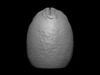 3D PRINTABLE ALIEN EGG OVOMORPH 1979 FLAT BOTTOM 3D model 3D printable ...
