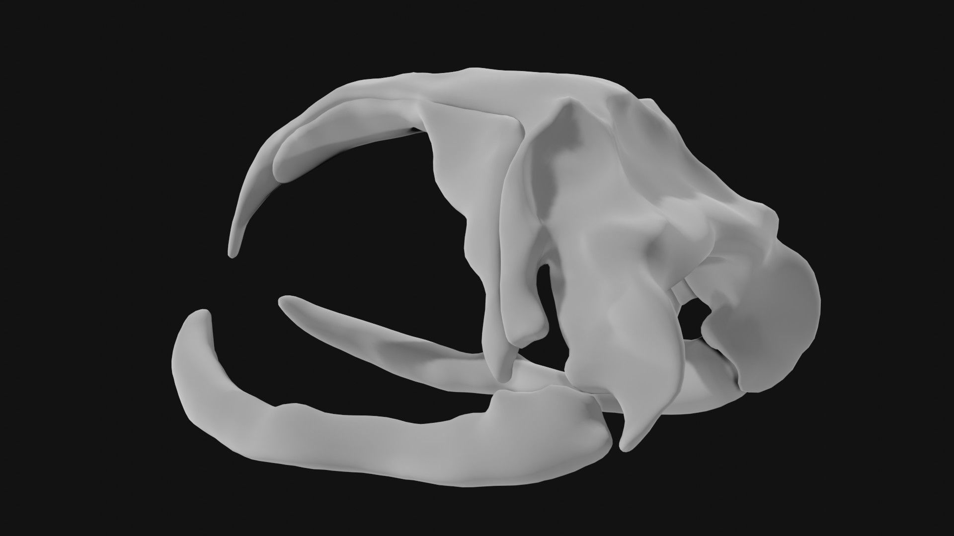 Bowhead Whale Skull 3D model | CGTrader