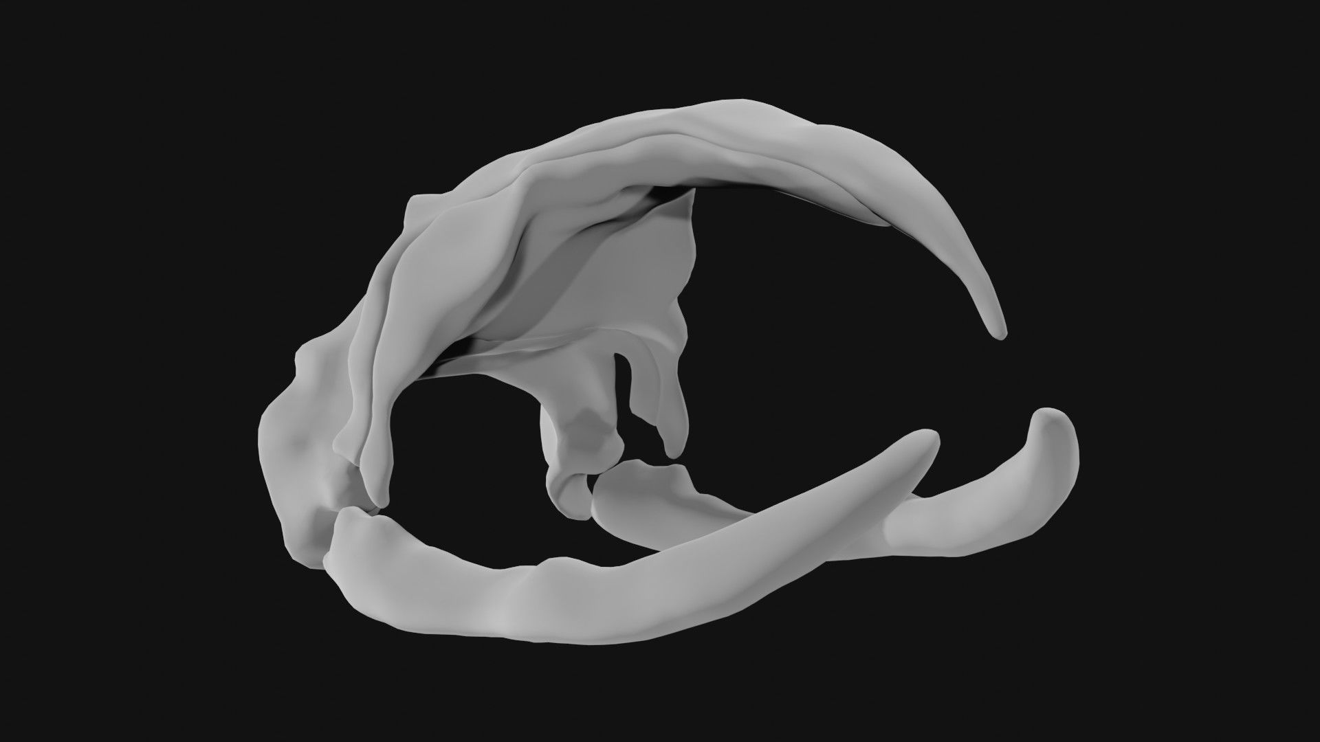 Bowhead Whale Skull 3D model | CGTrader