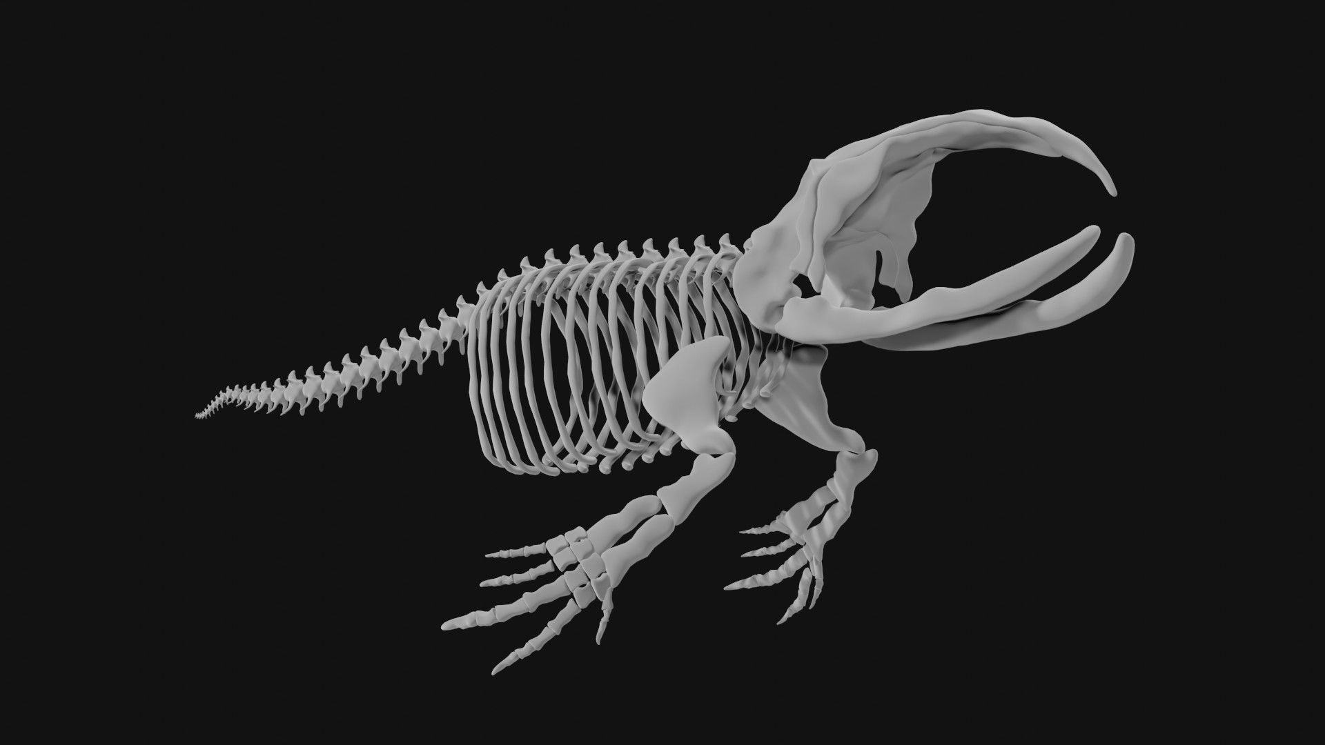 Bowhead Whale Skeleton 3D model | CGTrader