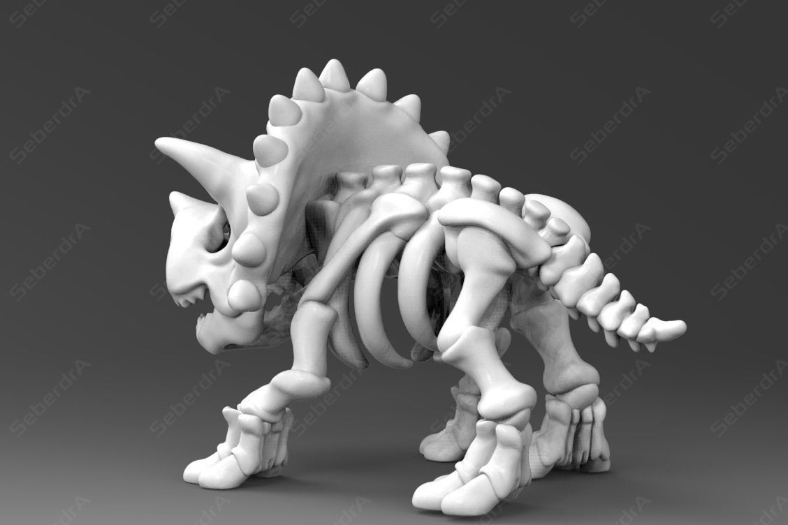 Cute Triceratops Skeleton STL for 3D model 3D printable | CGTrader