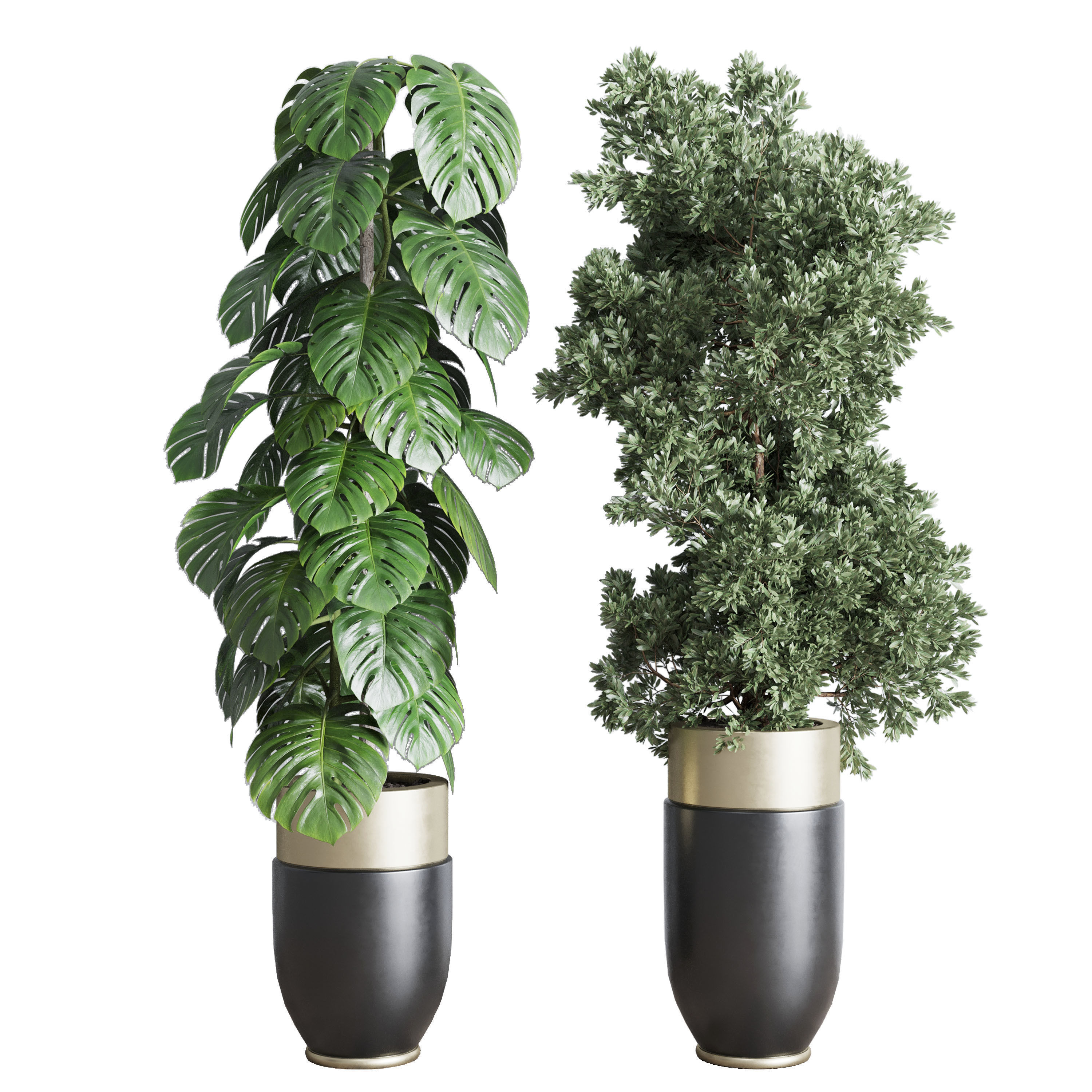 3D model indoor plant set 312 longhi godwin pot bamboo monstera VR / AR ...