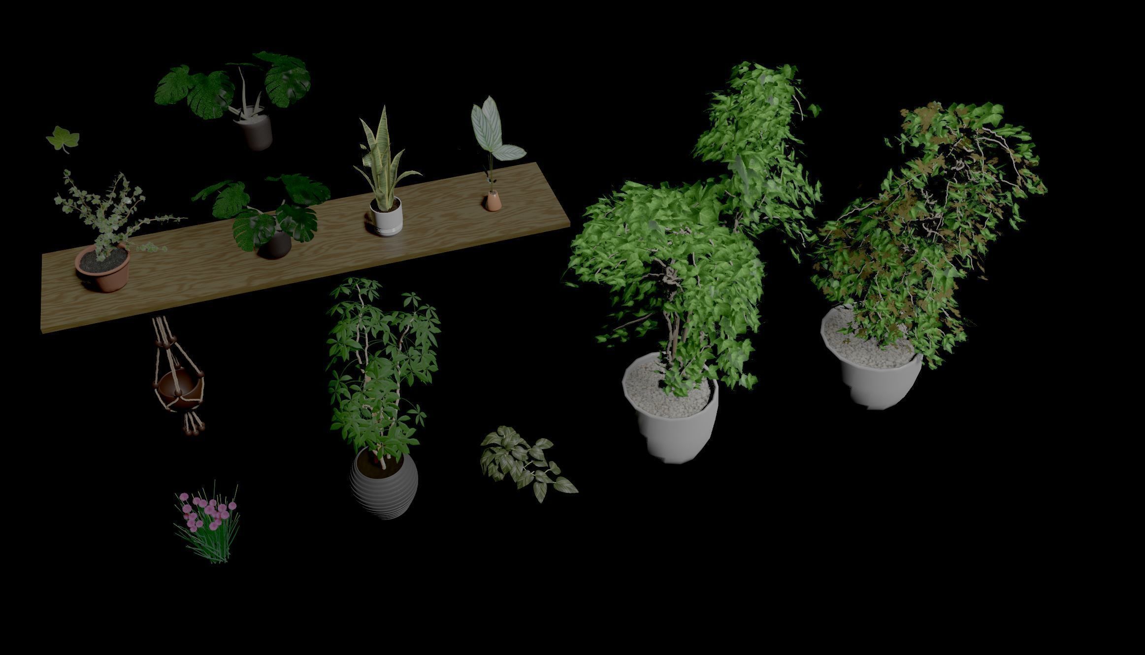 Indoor Plant Asset Pack 3D model | CGTrader