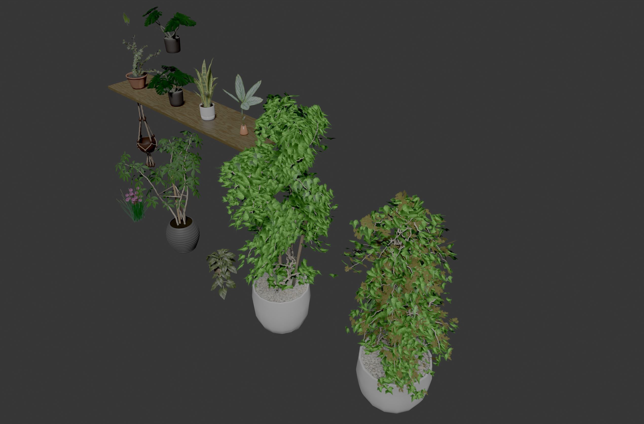 Indoor Plant Asset Pack 3D model | CGTrader