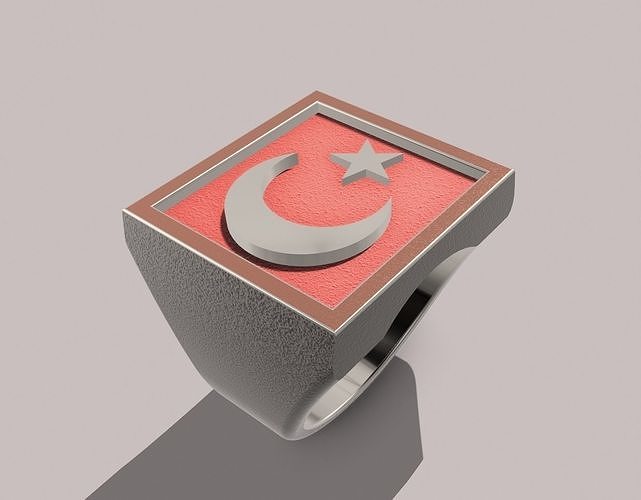 Flag turkish moon star 3D model | CGTrader