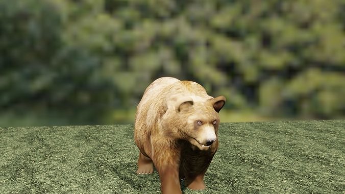 Bear animal 3D model animated rigged | CGTrader