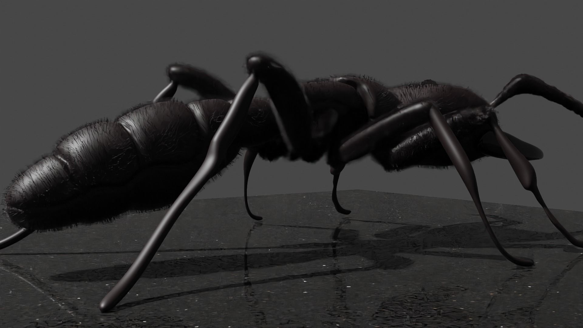 3D model Sculpted ant 3D model with hair VR / AR / low-poly | CGTrader