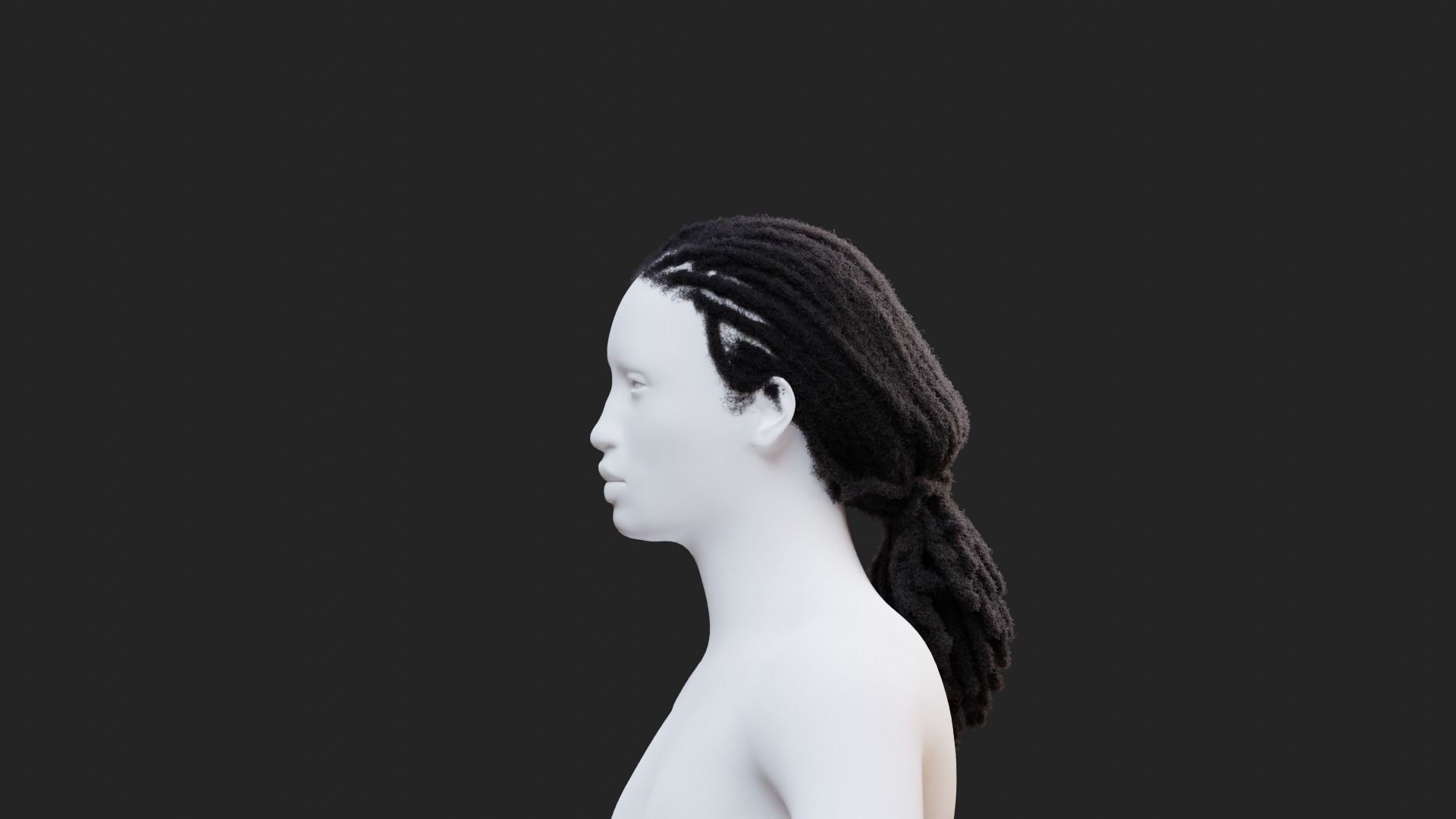Dreadlocks Low Ponytail 3D model | CGTrader