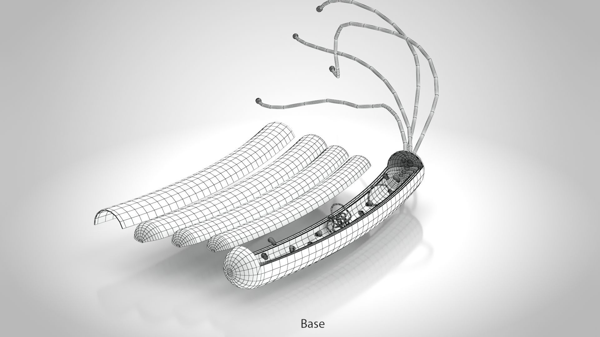 3D model Prokaryotic structure VR / AR / low-poly | CGTrader
