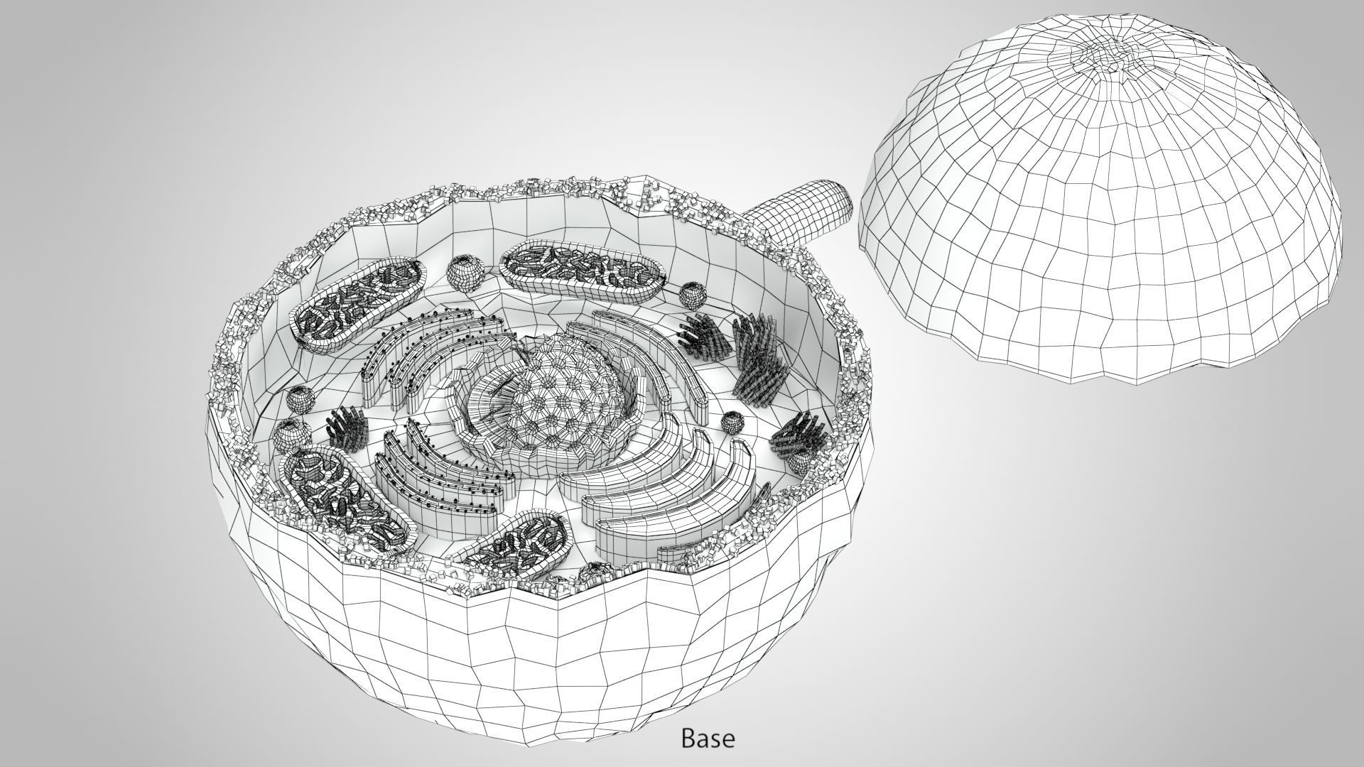 3D model Plasma Cell VR / AR / low-poly | CGTrader
