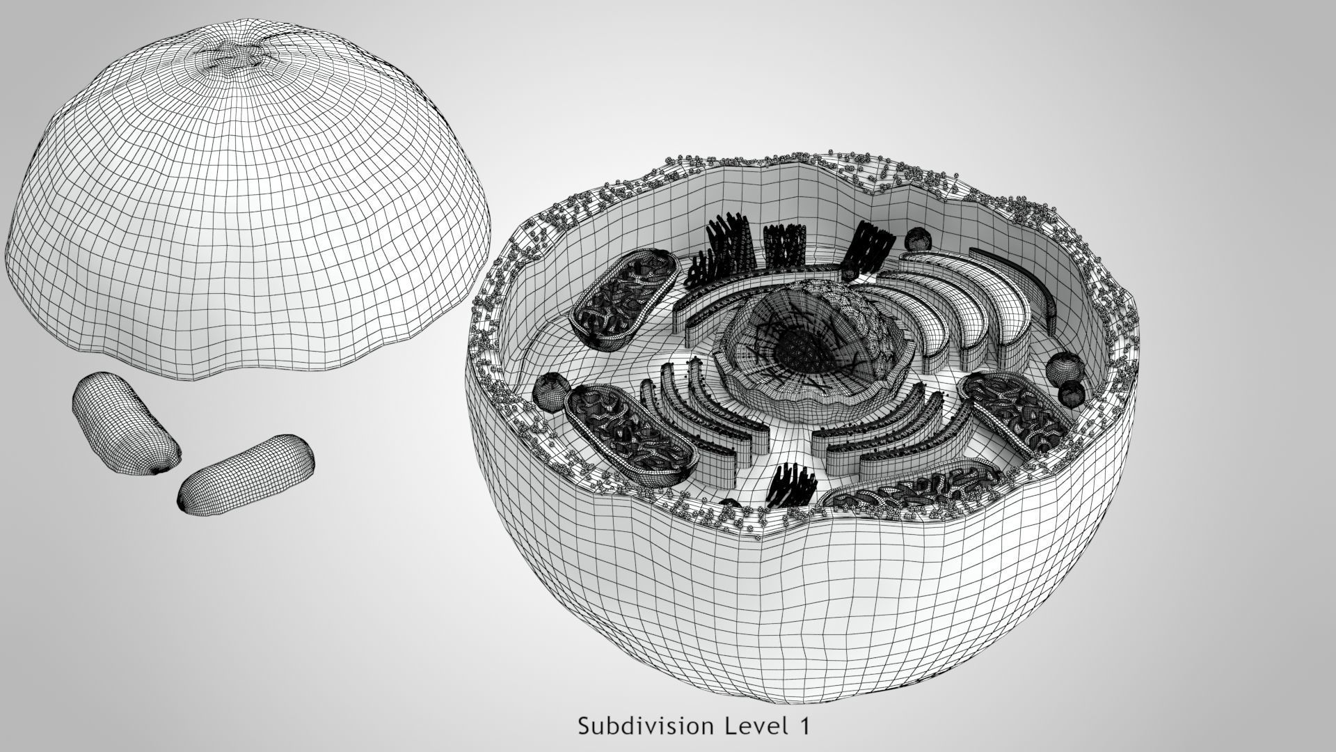 3D model Plasma Cell VR / AR / low-poly | CGTrader