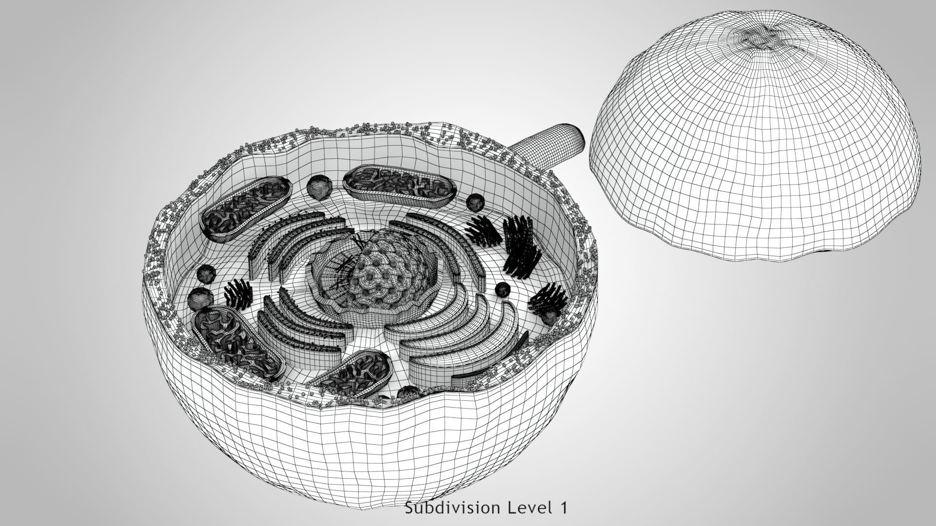 3D model Plasma Cell VR / AR / low-poly | CGTrader
