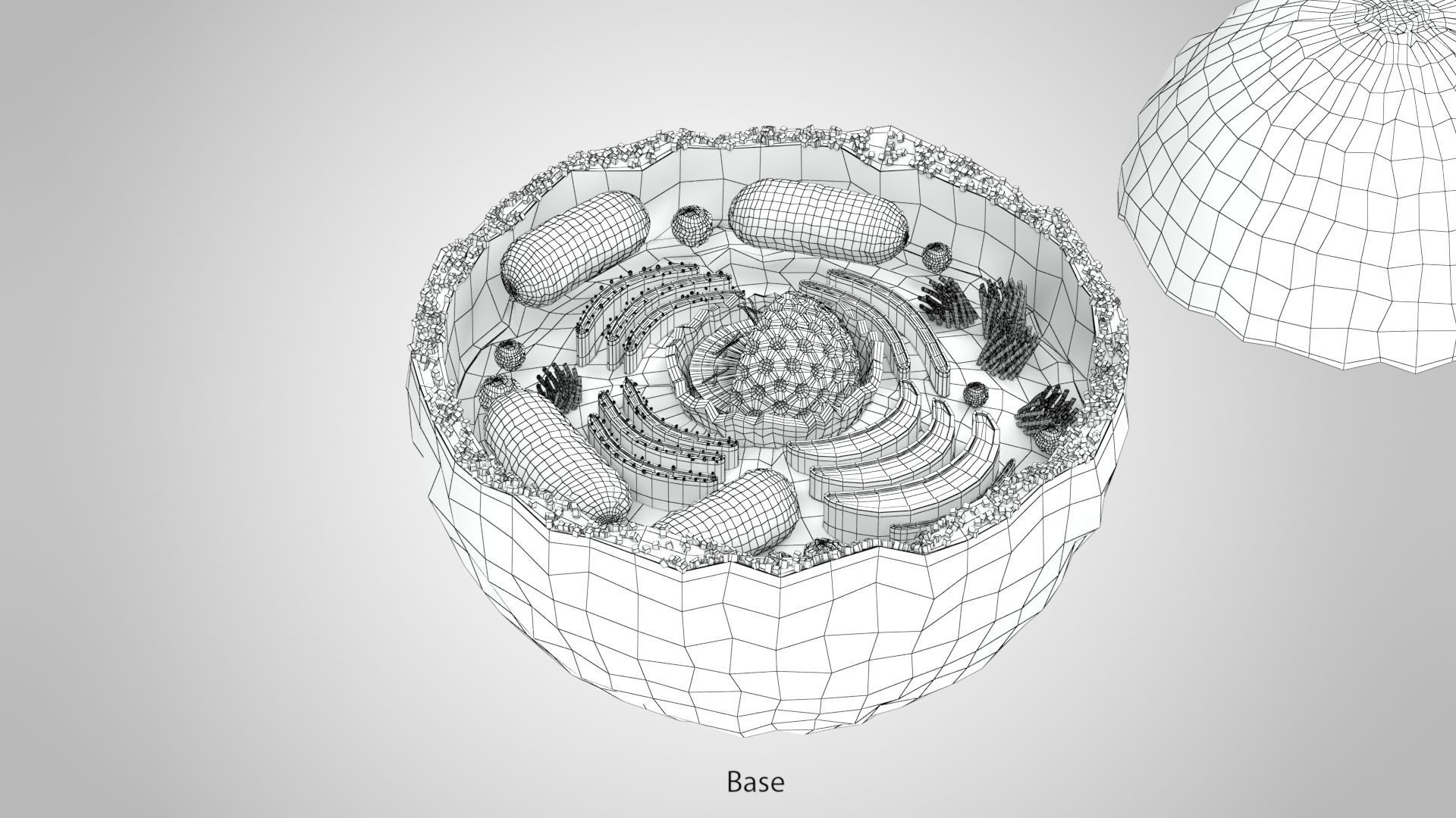 3D model Plasma Cell VR / AR / low-poly | CGTrader