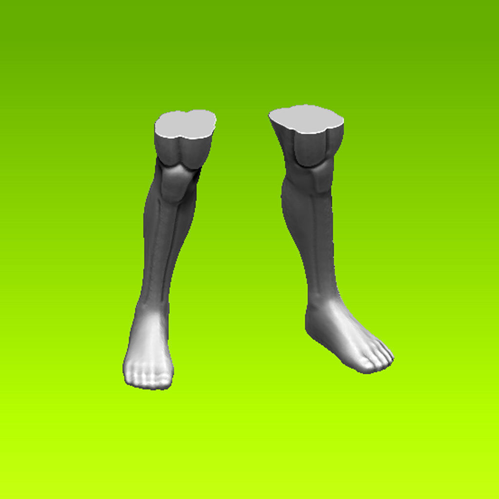 Gon Adult form Hunter x Hunter 3D model 3D printable | CGTrader