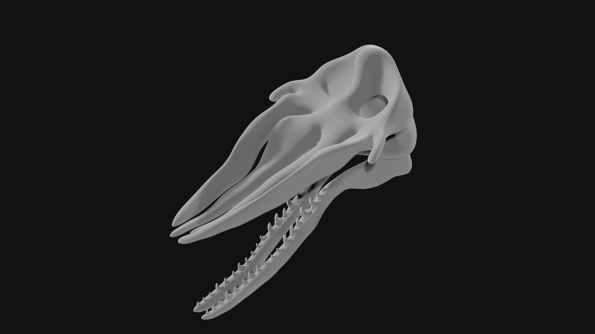 Sperm whale skull 3D model | CGTrader