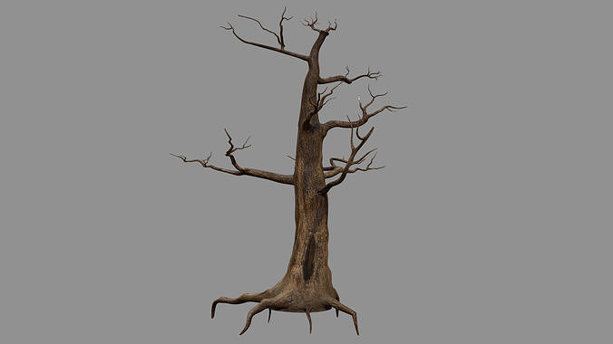 DryTreeB dead tree 3D model | CGTrader