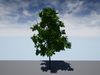 3D model UE4 - Trees and Bushes Game Ready Fully UE4 Project VR / AR ...