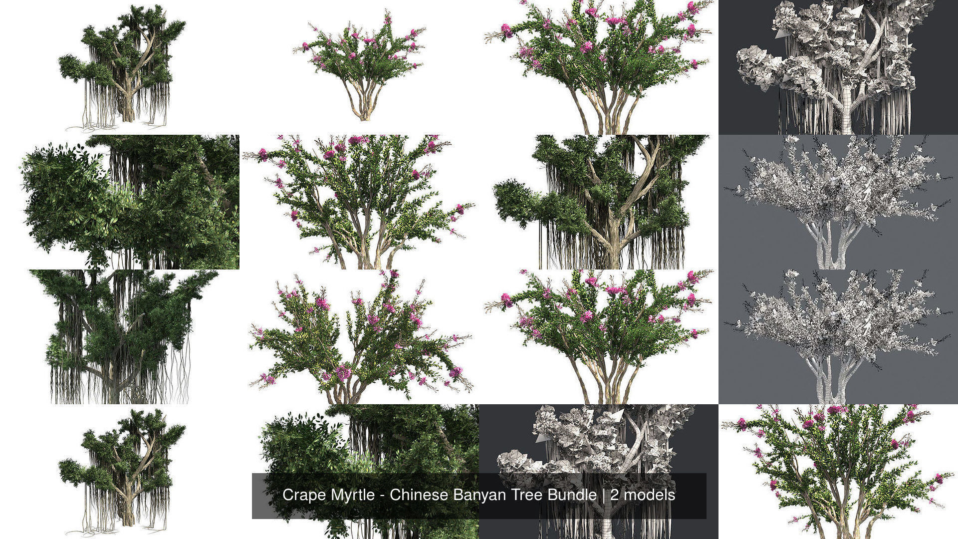 3D Model Collection Crape Myrtle - Chinese Banyan Tree Bundle VR / AR / low-poly | CGTrader