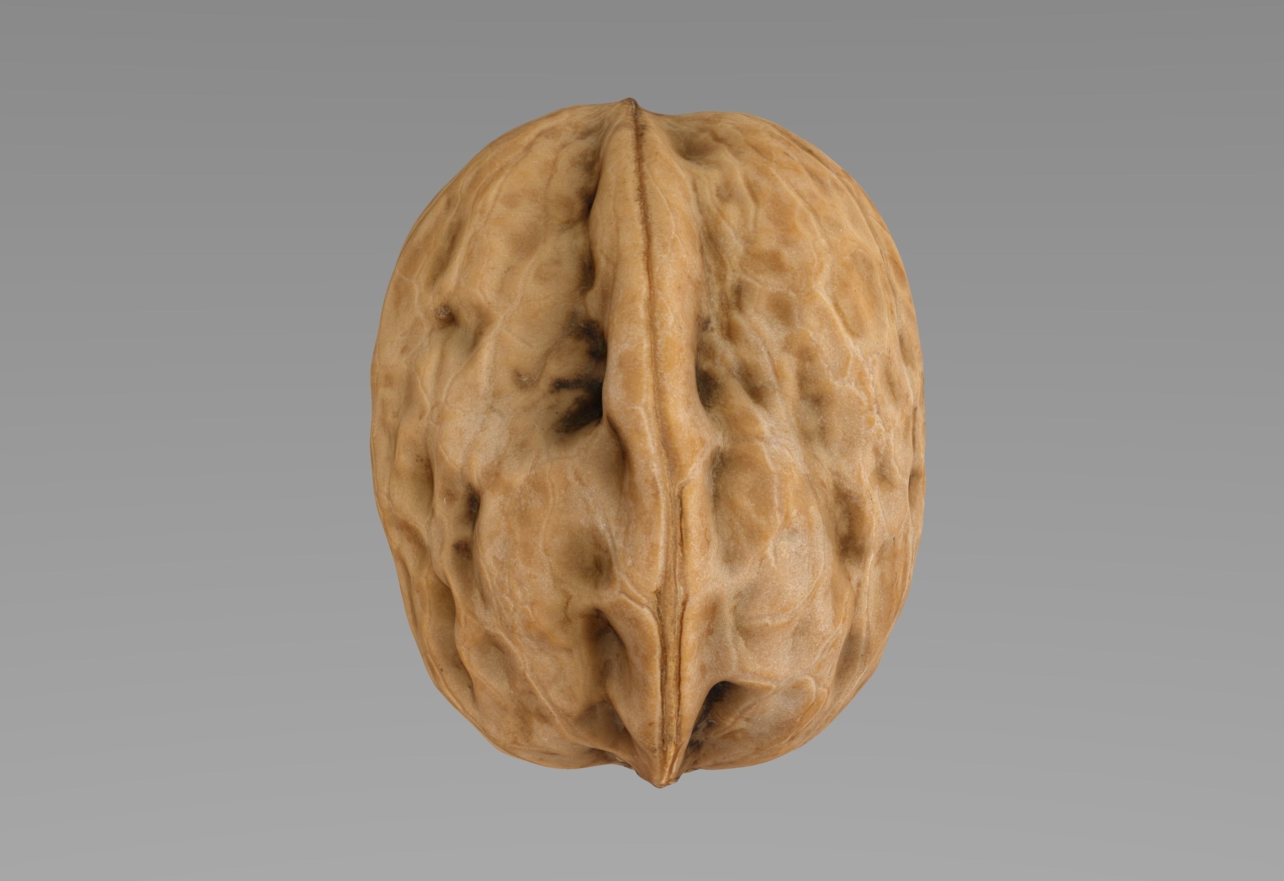 3D model Walnut VR / AR / low-poly | CGTrader