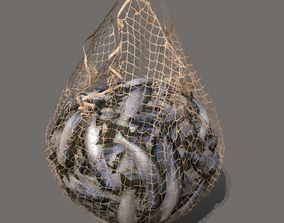Net 3D Models | CGTrader