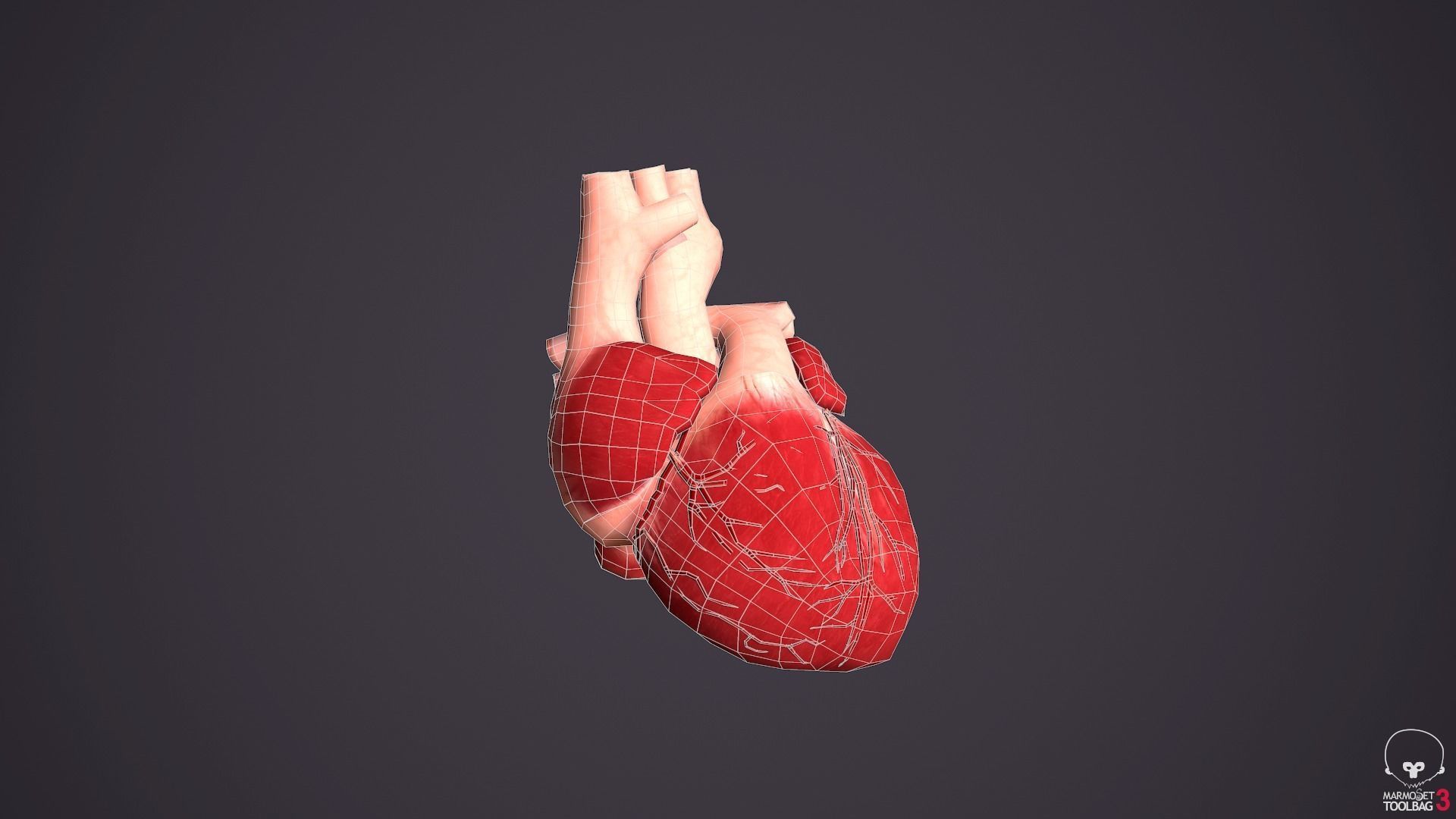 3D model Human Heart VR / AR / low-poly | CGTrader