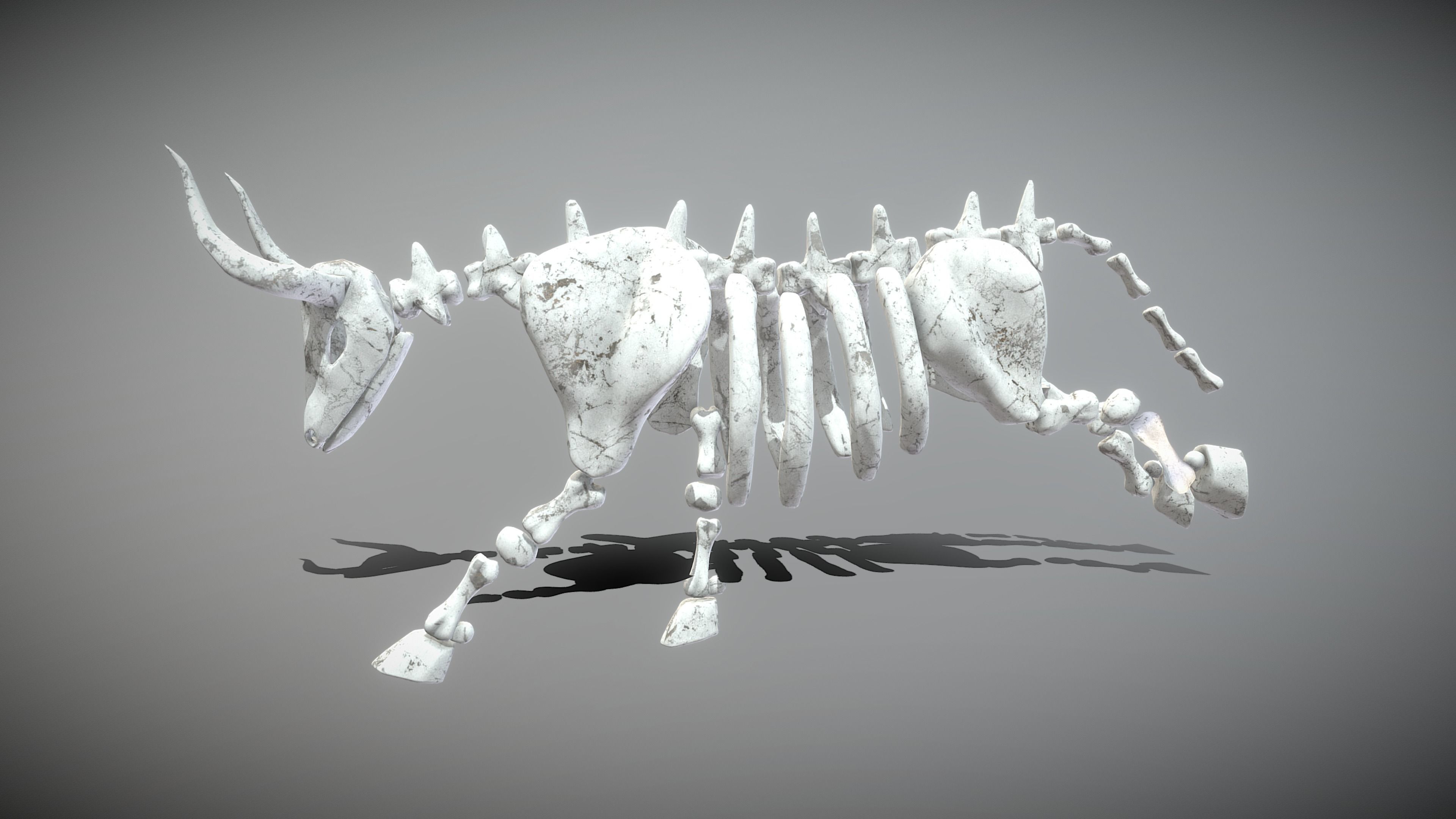 3D model Bull Skeleton VR / AR / low-poly rigged animated | CGTrader